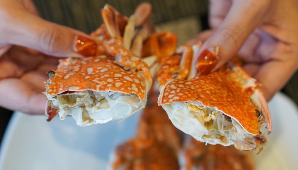 dsc04657.jpg - Pim CPK’s blog